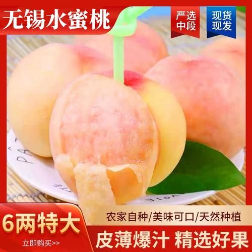 无锡水蜜桃品种有哪些_阳山水蜜桃和湖景桃区别-第1张图片-山城妙识 无锡水蜜桃品种有哪些_阳山水蜜桃和湖景桃区别-第1张图片-山城妙识