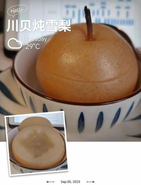 川贝冰糖雪梨怎么做_川贝炖雪梨止咳做法-第2张图片-山城妙识