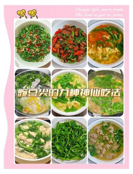 豌豆苗汤的做法_豌豆苗汤的功效-第1张图片-山城妙识