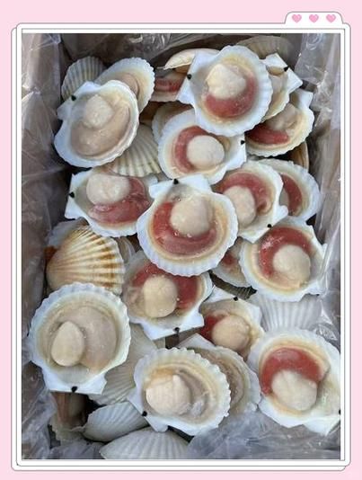 半壳扇贝怎么做好吃_半壳扇贝蒸多久最佳-第1张图片-山城妙识 半壳扇贝怎么做好吃_半壳扇贝蒸多久最佳-第1张图片-山城妙识