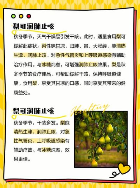 女人吃梨的好处_梨对女性的功效与作用-第3张图片-山城妙识 女人吃梨的好处_梨对女性的功效与作用-第3张图片-山城妙识