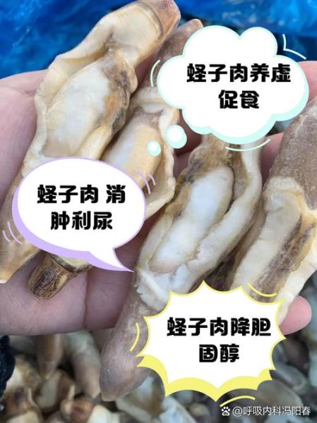 蛏王肉的营养价值_蛏王肉怎么吃最营养-第2张图片-山城妙识