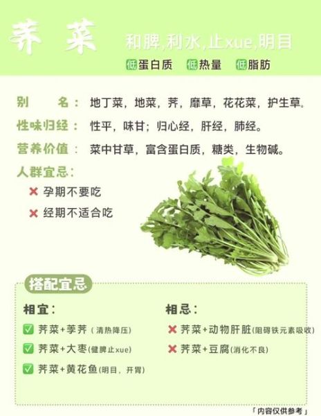 吃荠菜有什么好处_荠菜的功效与作用-第1张图片-山城妙识