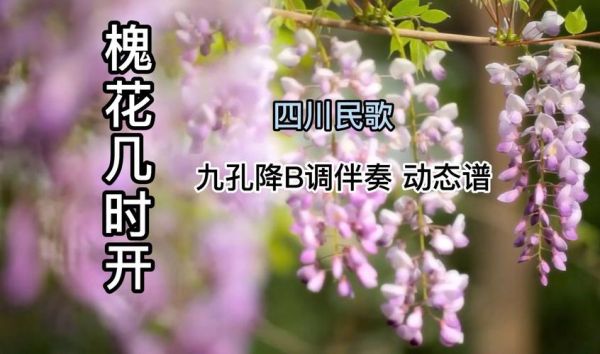 槐花几时开歌曲背景_四川民歌情感解析-第1张图片-山城妙识