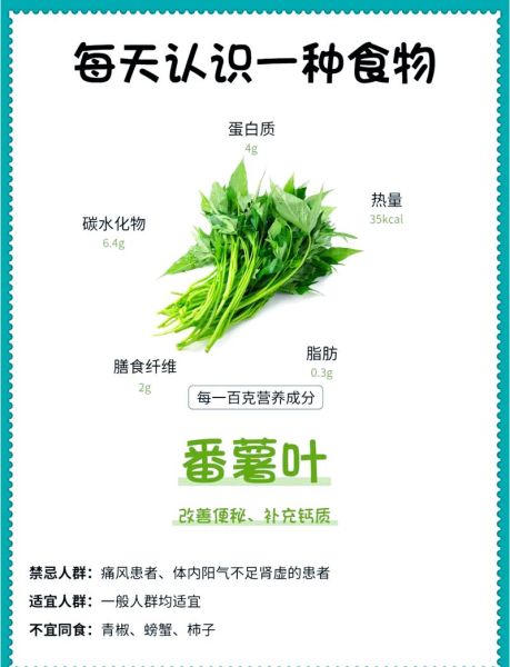 红薯叶的营养价值_红薯叶怎么吃最健康-第1张图片-山城妙识