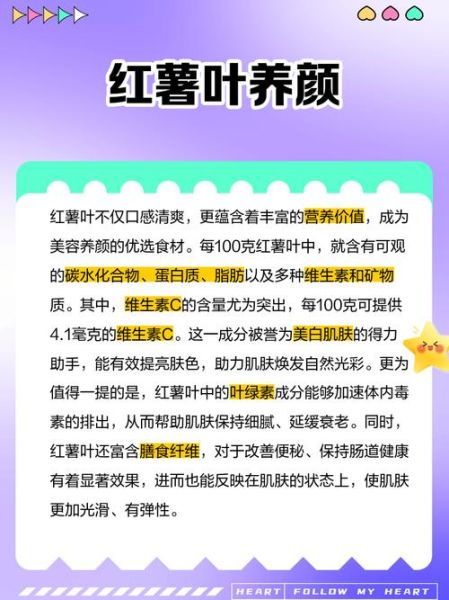 红薯叶的营养价值_红薯叶怎么吃最健康-第3张图片-山城妙识