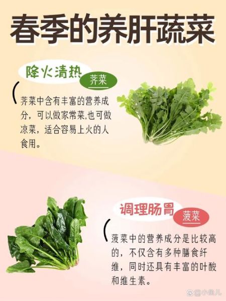 去火的蔬菜有哪些_哪些蔬菜清热降火效果最好-第2张图片-山城妙识