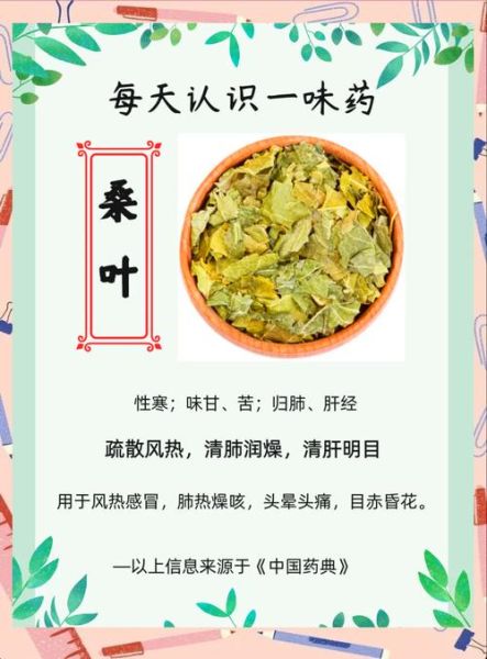 桑叶的功效与作用_桑叶的禁忌有哪些-第1张图片-山城妙识