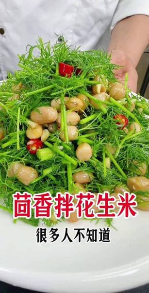 茴香花生米怎么做_茴香花生米的家常做法-第1张图片-山城妙识 茴香花生米怎么做_茴香花生米的家常做法-第1张图片-山城妙识