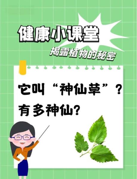 桑叶的功效与作用_桑叶的禁忌有哪些-第2张图片-山城妙识