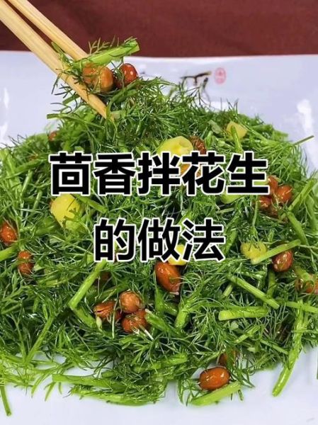 茴香花生米怎么做_茴香花生米的家常做法-第2张图片-山城妙识 茴香花生米怎么做_茴香花生米的家常做法-第2张图片-山城妙识