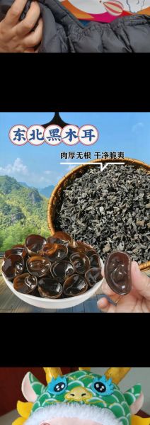 特别大的木耳是什么品种_超大木耳品种推荐-第2张图片-山城妙识