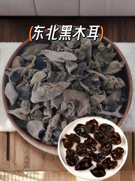 特别大的木耳是什么品种_超大木耳品种推荐-第3张图片-山城妙识