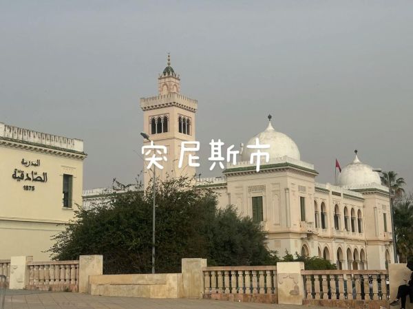 突尼斯是哪个国家的_突尼斯和突尼斯共和国区别-第2张图片-山城妙识 突尼斯是哪个国家的_突尼斯和突尼斯共和国区别-第2张图片-山城妙识