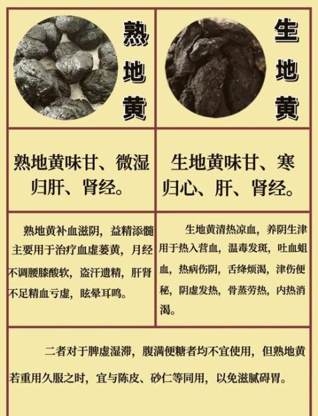 地黄的功效与作用_地黄主治哪些疾病-第2张图片-山城妙识