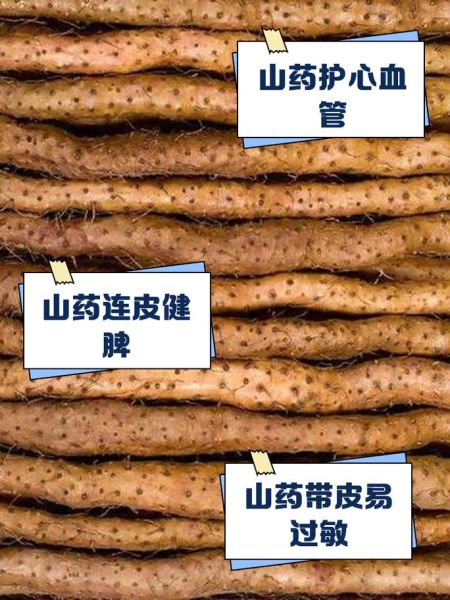 铁棍山药连皮吃好吗_铁棍山药皮能吃吗-第1张图片-山城妙识 铁棍山药连皮吃好吗_铁棍山药皮能吃吗-第1张图片-山城妙识