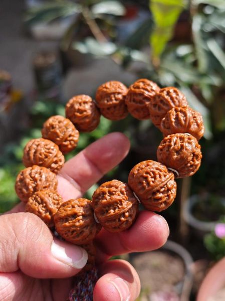 核桃文玩怎么盘_核桃文玩包浆多久变色-第3张图片-山城妙识 核桃文玩怎么盘_核桃文玩包浆多久变色-第3张图片-山城妙识