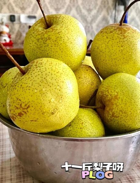 秋梨膏用什么梨做最好_雪花梨还是鸭梨-第2张图片-山城妙识