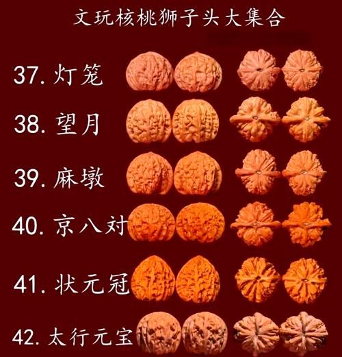 狮子头核桃品种排名_哪个品种最好-第2张图片-山城妙识