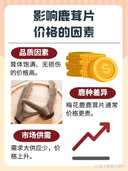 鹿茸价格2021最新价格_多少钱一克-第1张图片-山城妙识 鹿茸价格2021最新价格_多少钱一克-第1张图片-山城妙识