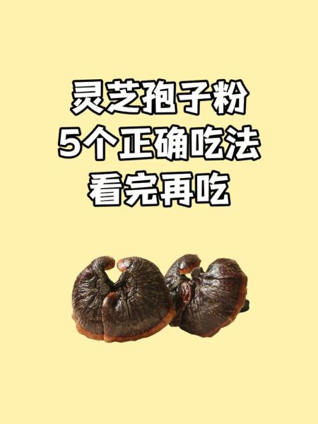 女人长期吃灵芝孢子粉的危害_女人吃灵芝孢子粉有副作用吗-第2张图片-山城妙识