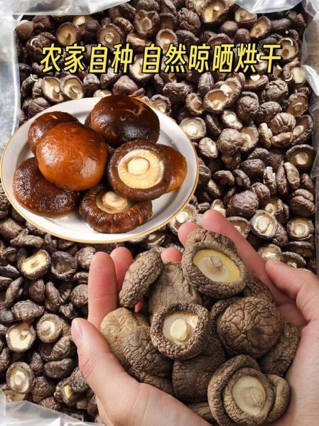 最好的香菇图片大全_如何挑选优质香菇-第2张图片-山城妙识