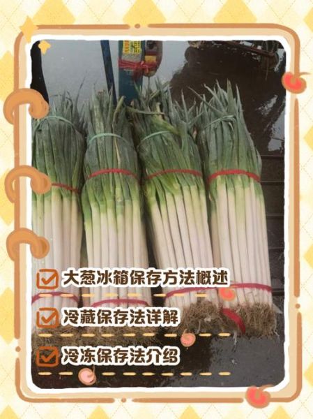 香葱怎么保存_香葱可以冷冻吗-第2张图片-山城妙识