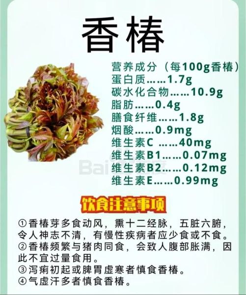 香椿芽的副作用有哪些_哪些人不能吃香椿芽-第1张图片-山城妙识