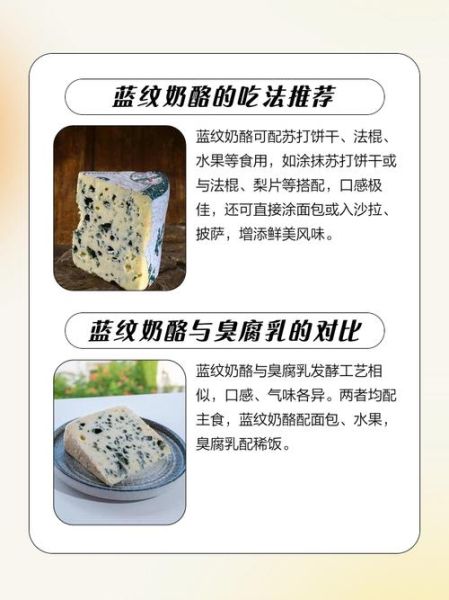 蓝纹奶酪的营养价值_蓝纹奶酪适合减肥吗-第3张图片-山城妙识 蓝纹奶酪的营养价值_蓝纹奶酪适合减肥吗-第3张图片-山城妙识