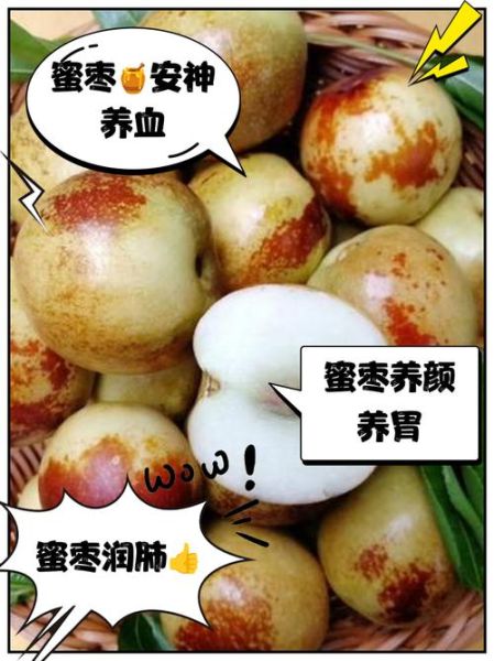蜜枣的功效与作用及食用方法_蜜枣怎么吃不上火-第3张图片-山城妙识 蜜枣的功效与作用及食用方法_蜜枣怎么吃不上火-第3张图片-山城妙识