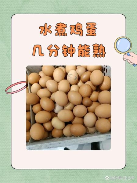 炖鸡蛋多长时间_炖鸡蛋水开后几分钟-第1张图片-山城妙识