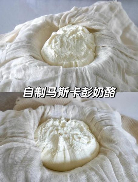 奶酪是怎么做出来的_家庭自制奶酪步骤-第1张图片-山城妙识
