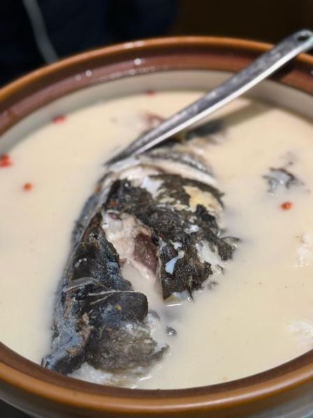 煮鱼头汤要放什么材料_鱼头汤怎么做好喝-第2张图片-山城妙识 煮鱼头汤要放什么材料_鱼头汤怎么做好喝-第2张图片-山城妙识