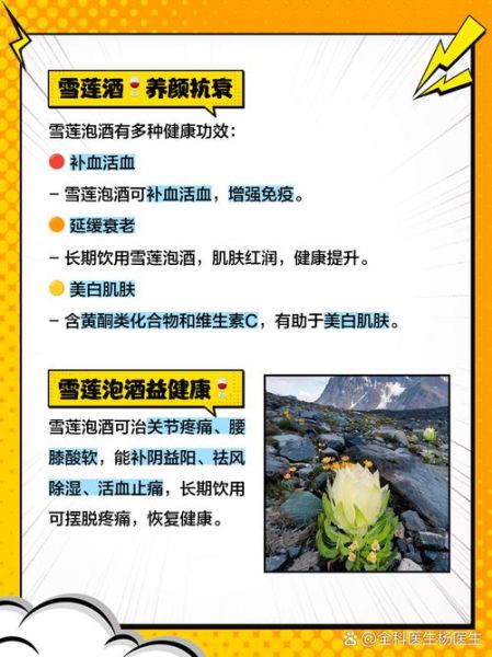 干雪莲花怎么吃_干雪莲花泡酒还是泡水好-第3张图片-山城妙识