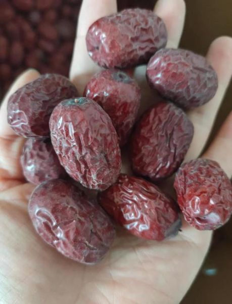 每天吃10颗红枣一个月后_身体变化有哪些-第3张图片-山城妙识 每天吃10颗红枣一个月后_身体变化有哪些-第3张图片-山城妙识