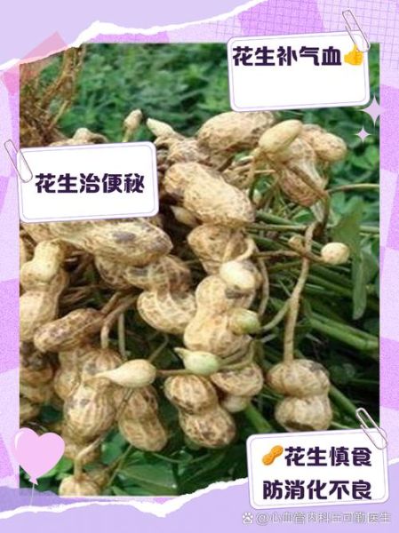 花生对男性性功能好吗_男人吃花生壮阳吗-第3张图片-山城妙识 花生对男性性功能好吗_男人吃花生壮阳吗-第3张图片-山城妙识