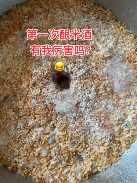 家庭如何制作米酒_米酒发酵失败怎么办-第3张图片-山城妙识