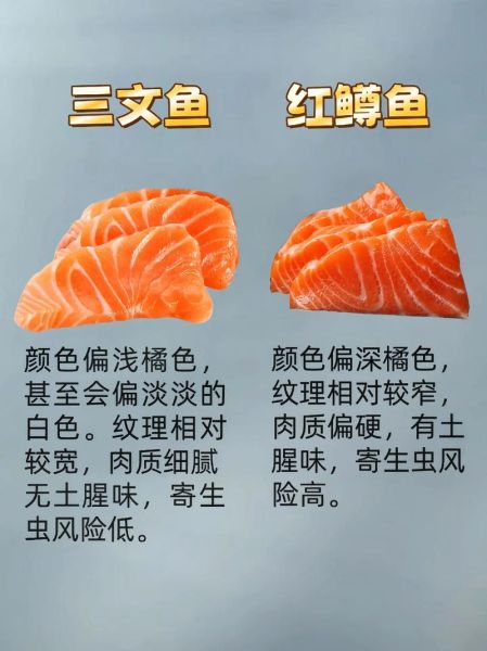 真假三文鱼鉴别_如何分辨真假三文鱼-第1张图片-山城妙识 真假三文鱼鉴别_如何分辨真假三文鱼-第1张图片-山城妙识