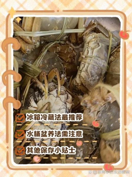 河蟹怎么保存_河蟹能放冰箱吗-第1张图片-山城妙识
