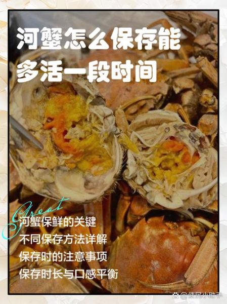 河蟹怎么保存_河蟹能放冰箱吗-第3张图片-山城妙识
