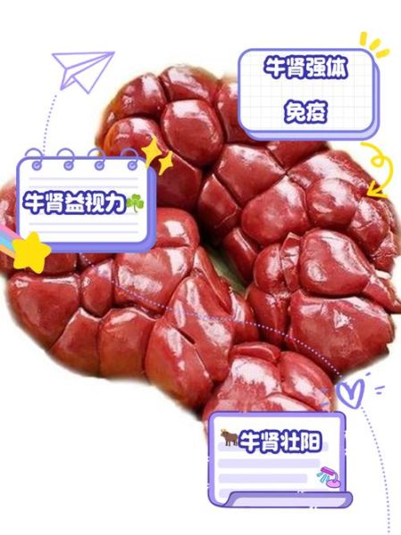 牛肾的功效与作用_牛肾怎么吃最补肾-第1张图片-山城妙识