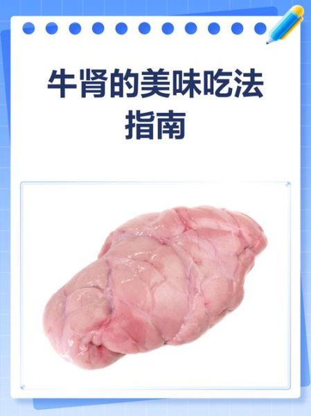 牛肾的功效与作用_牛肾怎么吃最补肾-第2张图片-山城妙识