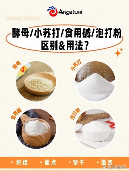 酵母发面用放小苏打吗_不放行不行-第1张图片-山城妙识