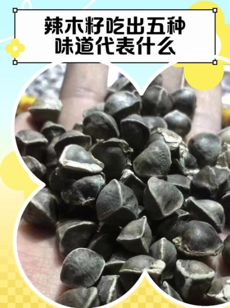 辣木籽怎么吃效果最好_辣木籽的正确吃法-第2张图片-山城妙识 辣木籽怎么吃效果最好_辣木籽的正确吃法-第2张图片-山城妙识
