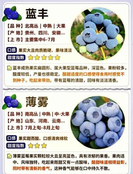 蓝莓为什么按盒卖_蓝莓一盒一盒卖的好处-第3张图片-山城妙识