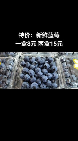 蓝莓为什么按盒卖_蓝莓一盒一盒卖的好处-第1张图片-山城妙识