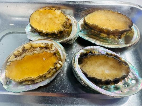 清蒸鲍鱼怎么蒸才嫩_清蒸鲍鱼需要蒸多久-第3张图片-山城妙识 清蒸鲍鱼怎么蒸才嫩_清蒸鲍鱼需要蒸多久-第3张图片-山城妙识