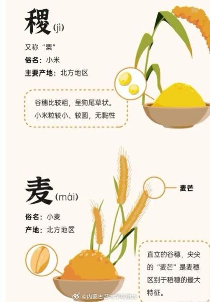 五谷是什么_五谷指哪五种粮食-第3张图片-山城妙识 五谷是什么_五谷指哪五种粮食-第3张图片-山城妙识