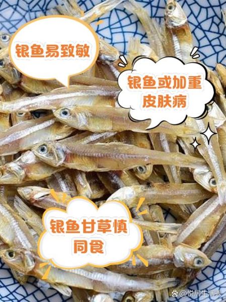 银鱼有什么功效与禁忌_银鱼适合什么人吃-第1张图片-山城妙识