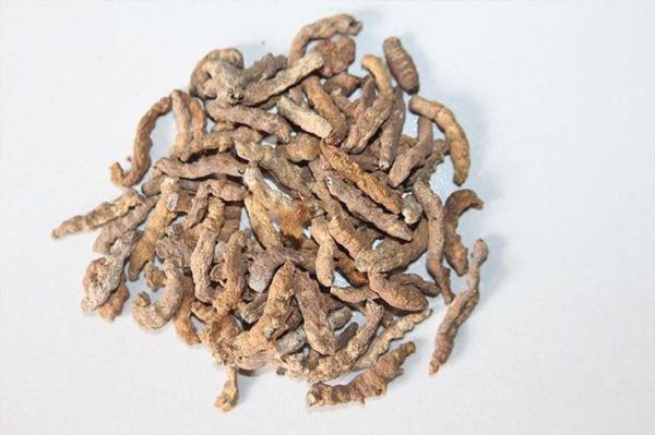 炒僵蚕的功效与作用_炒僵蚕能治疗哪些疾病-第2张图片-山城妙识